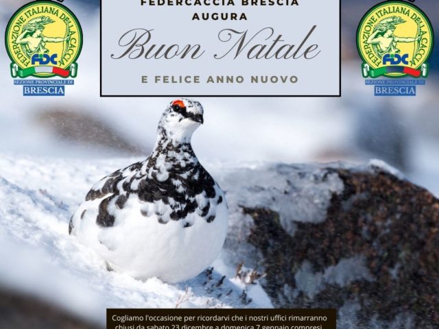 AUGURI DI BUON NATALE E FELICE ANNO NUOVO - Federcaccia Brescia